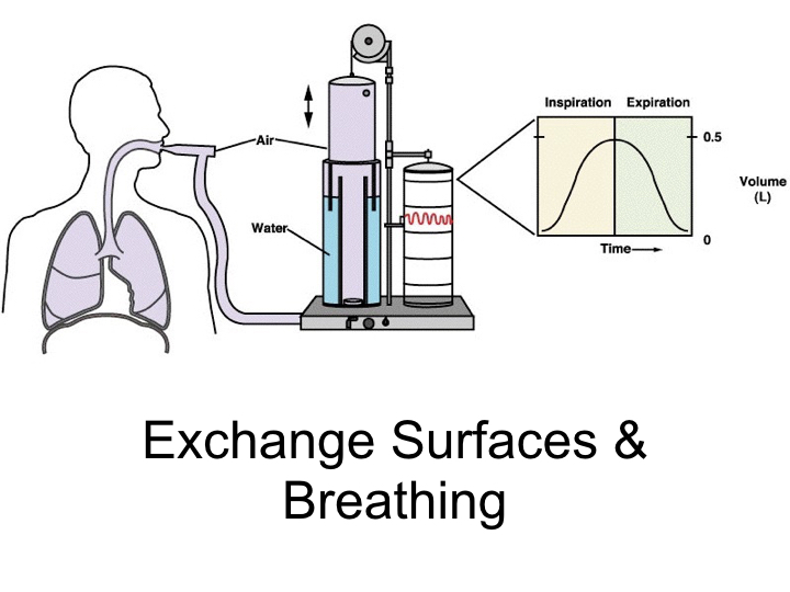 Slide-viewer | Love Biology A Level