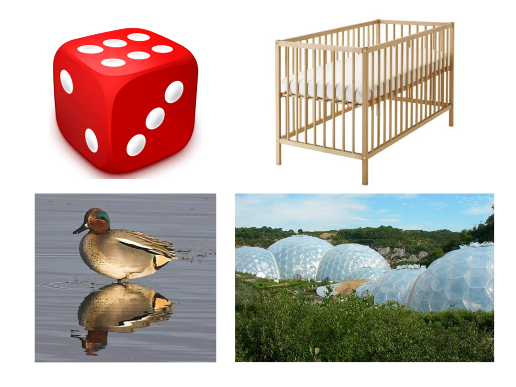 Dingbats | Love Biology